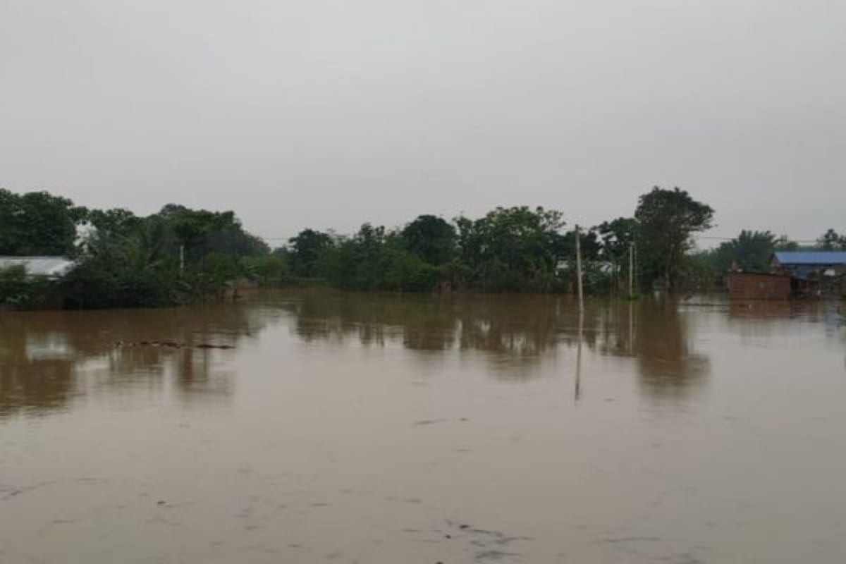 Assam Flood Situation Improves 4 Districts Still Affected